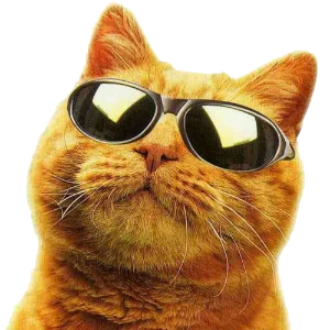 KleweRock - тесты пользователя Pikuco.ru