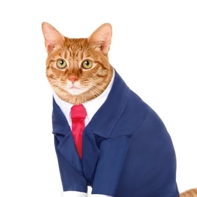 user_a76f85a7c0 - профиль пользователя Pikuco.ru