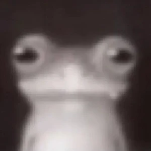 AWNM - тесты пользователя Pikuco.ru