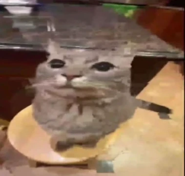 Тест-турнир Самый красивый чаттер iceicell