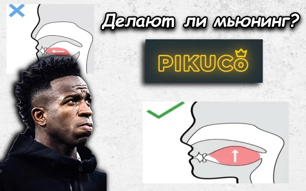 Делают ли мьюнинг пользователи Pikuco? (SLON37)