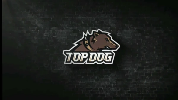 Тест-турнир Лучший боец лиги TOP DOG