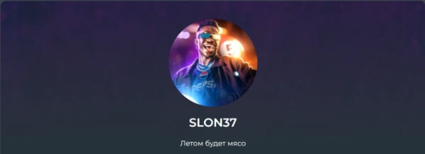 Интервью #2 | SLON37 (d3moech)