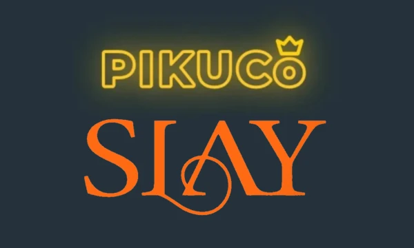 Статистика теста SLAY AWARD PIKUCO 2024